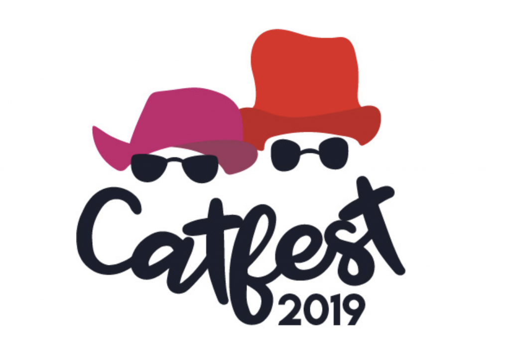 Catfest 2019 raises £52,607!! | boosst financial – Insights